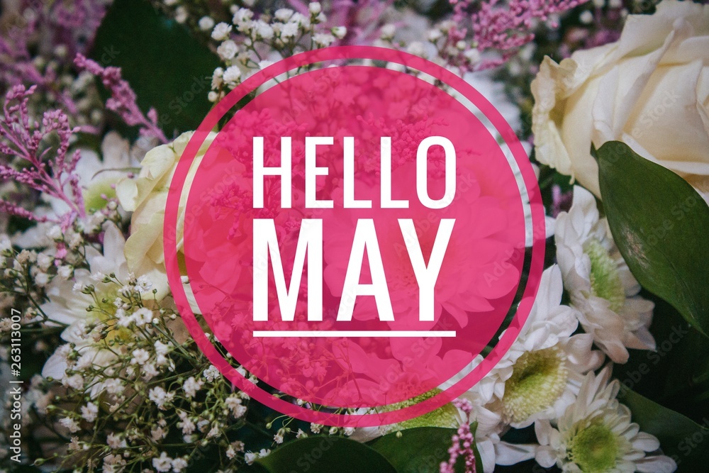 Banner Hello May. Greeting the new month. Picture with flowers. Text on ...