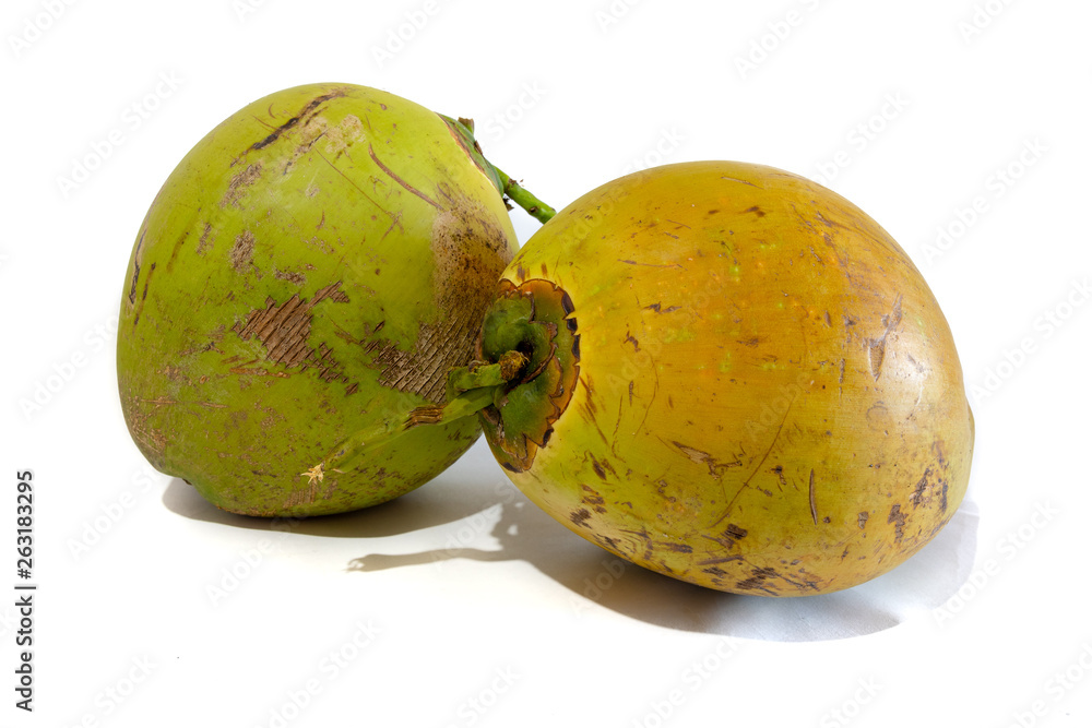 Coconut fruits - hard shell outer layer with jelly and water on the ...
