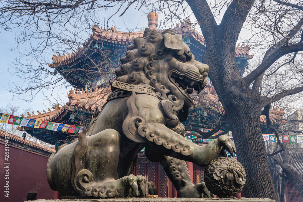 Chinese guardian lion commonly called foo dog in Lama Temple in Beijing ...