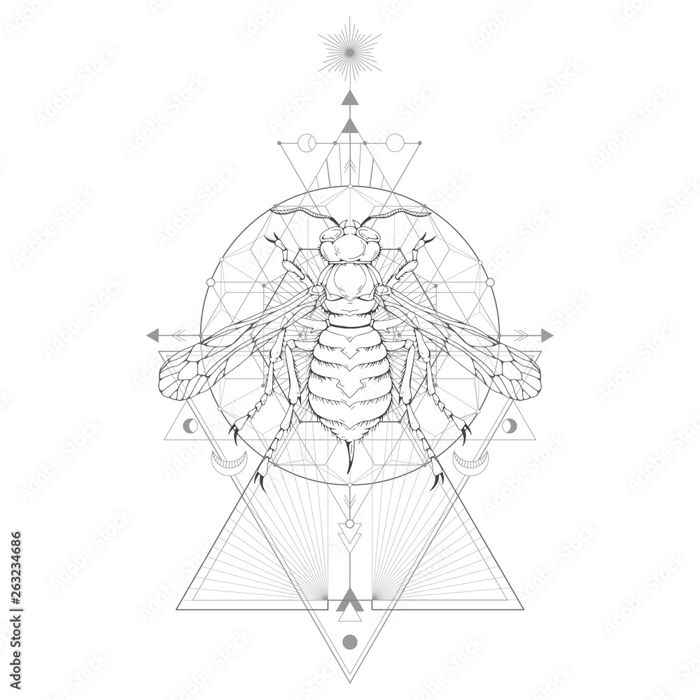Vector illustration with hand drawn wasp and Sacred geometric symbol on ...