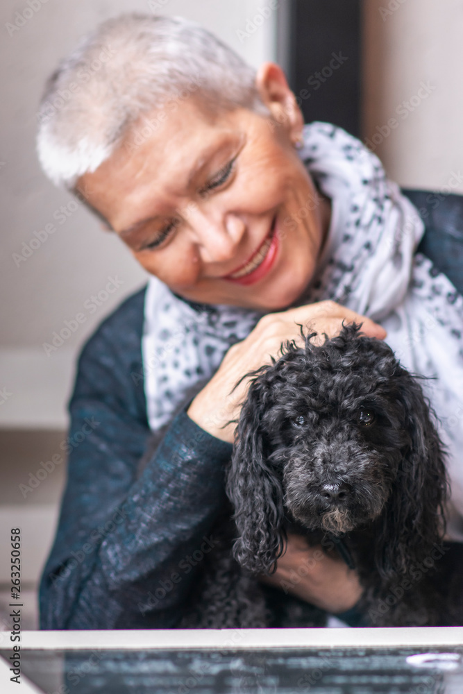 When Is A Miniature Poodle A Senior