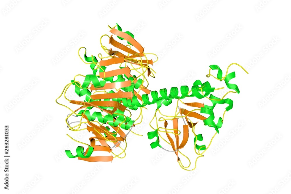 Molecular structure of cholera toxin (also known as choleragen ...