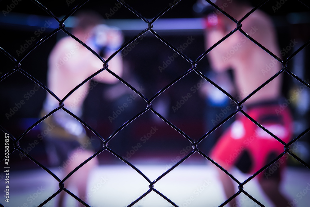 Sports concept of fighting without rules.Two boxer athletes in the ...