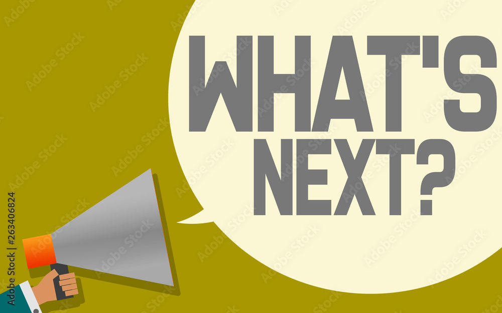 Megaphone with whats next speech bubble Stock Illustration | Adobe Stock