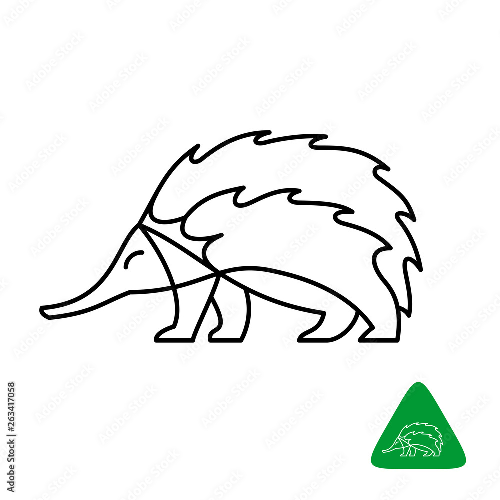 Echidna vector logo. Thin line elegant style echidna illustration ...