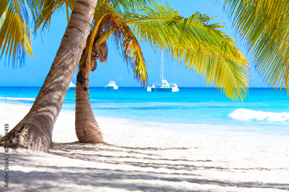 Vacation summer holidays background wallpaper - sunny tropical exotic ...