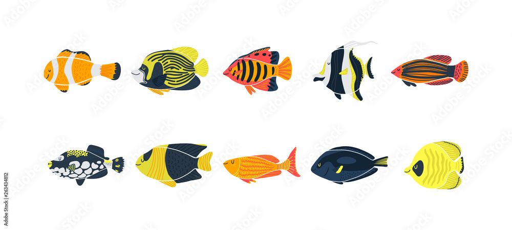 Isolated fish illustration. Set of freshwater aquarium cartoon colored ...