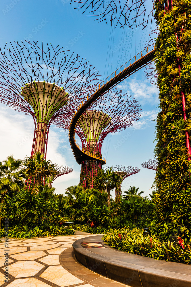 Solar Trees in the Gardens by the bay in Singapore. The Solar trees in ...