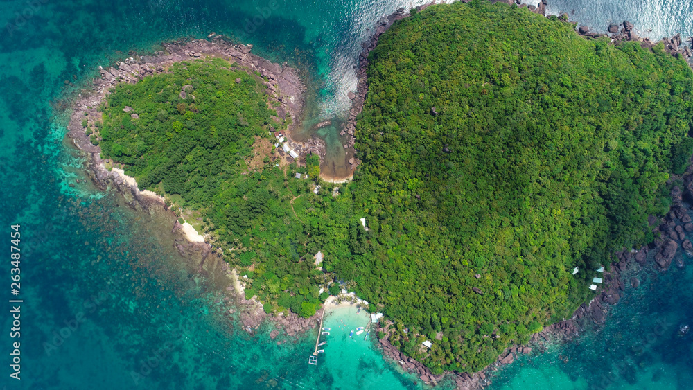 Top view or Aerial view of tropical island jungle with palms and ...