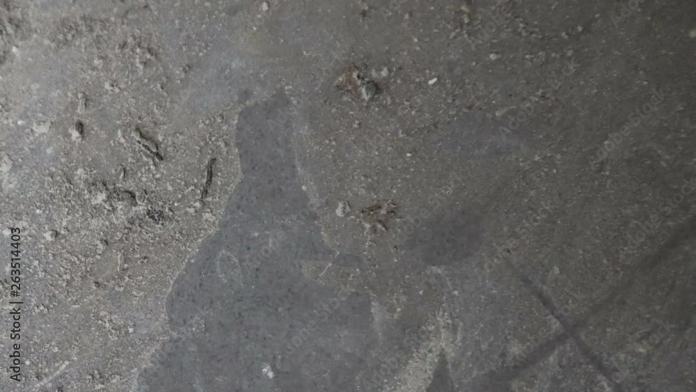 Stop motion animated wood texture background or useful for old films ...