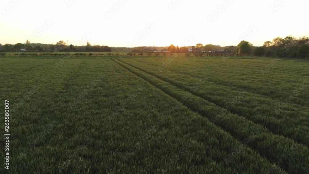 Low altitude aerial sliding shot above lush green English grassy ...