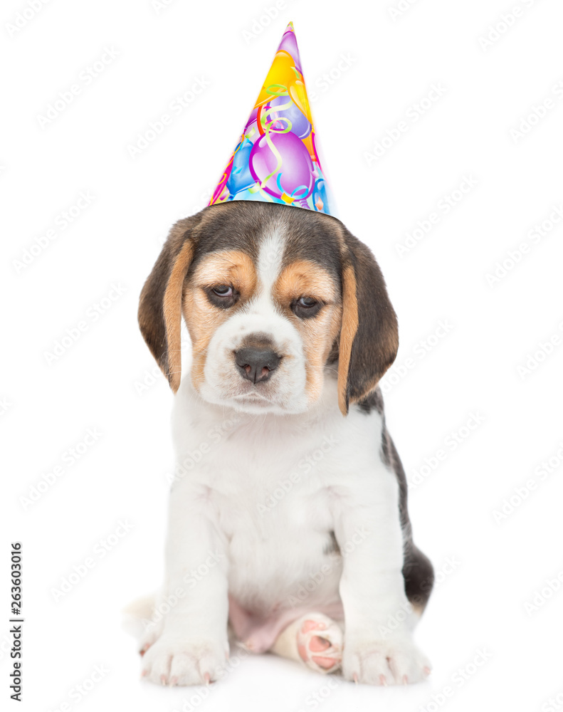 Sad Birthday Dog