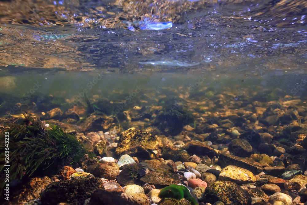 underwater mountain clear river / underwater photo in a freshwater ...