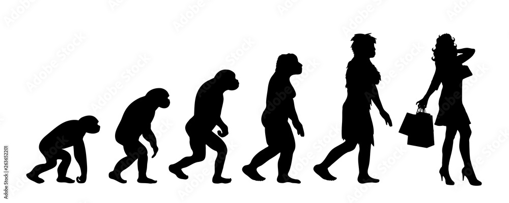 Painted theory of evolution of woman. Vector silhouette of homo sapiens ...