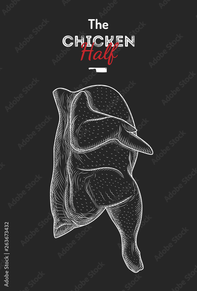 Half of chicken cut vector drawing illustration Stock Vector | Adobe Stock