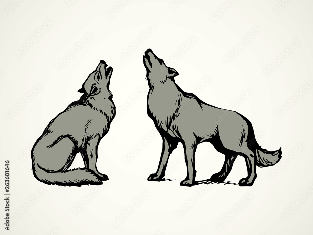 Wolf. Vector drawing Stock Vector | Adobe Stock