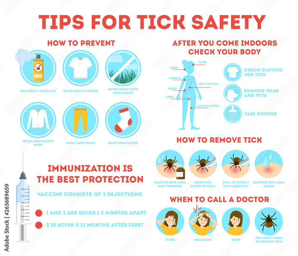 Tips for tick safety infographic. How to protect skin Stock Vector ...