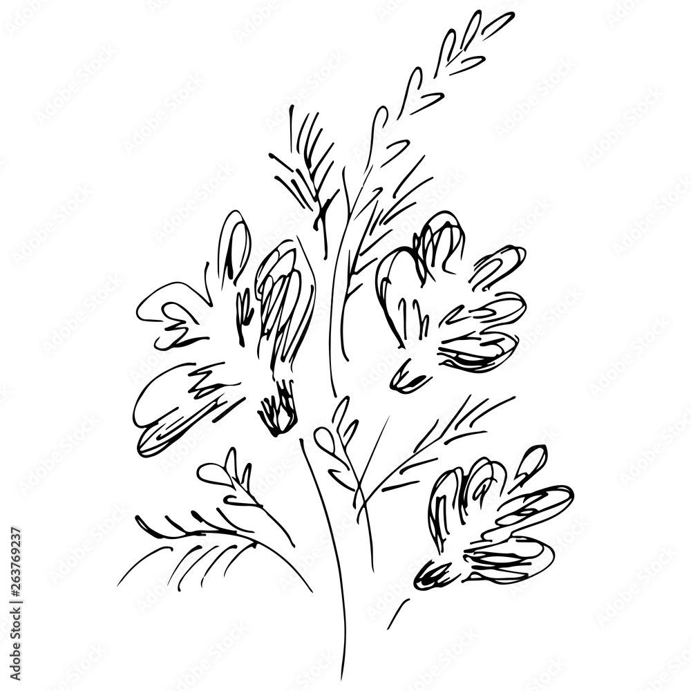 Hand Drawn Illustration Of Abstract Set of Flowers Isolated on White ...