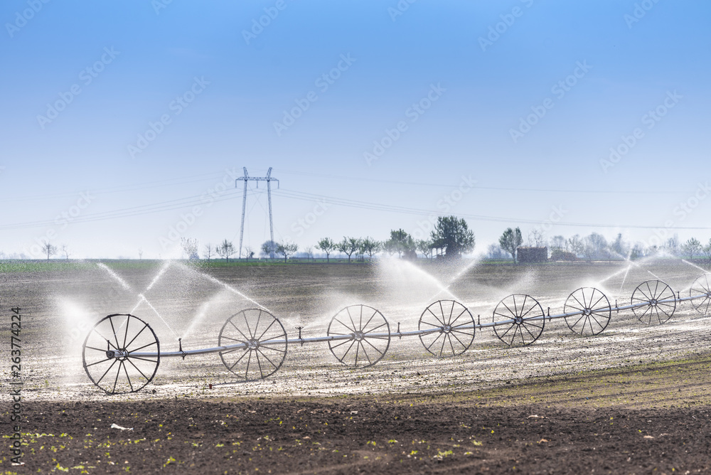 large wheels with sprinklers for irrigation in the field Stock Photo ...