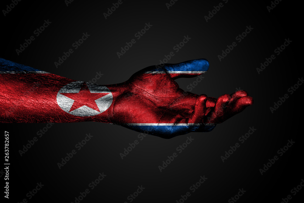 Outstretched hand with a drawn north korea flag, a sign of help or a ...