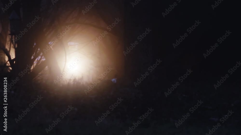 A silhouetted woman walking into the dark woods on a cold night, her ...