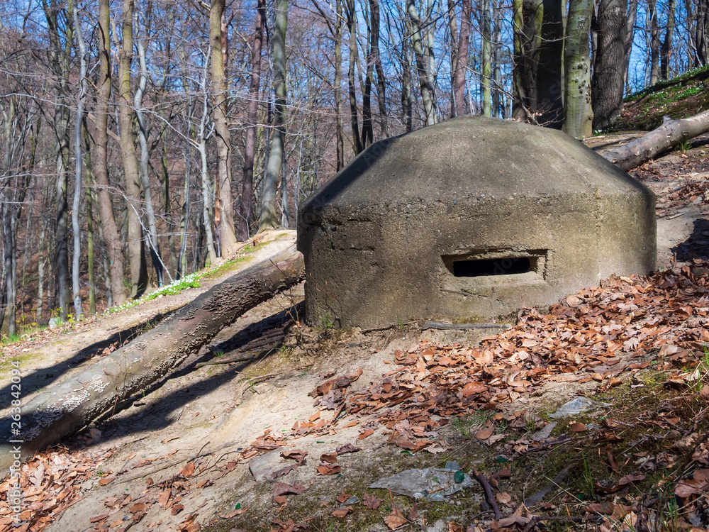 Poster Old, forgotten bunker from WWII – Wall Art | UkPosters