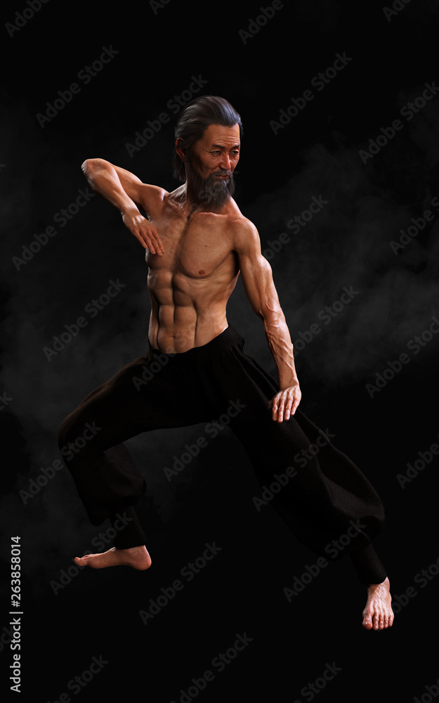3d Illustration Human Martial Arts Sports Training with Clipping Path ...