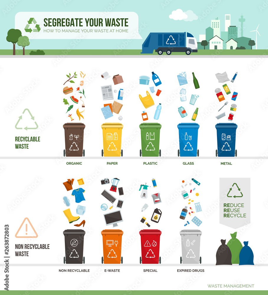 Waste segregation and recycling infographic Stock Vector | Adobe Stock