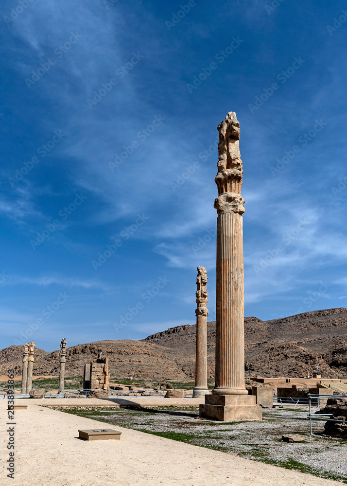 Apadana Palace Persian capitals still standing after 2500 years ...