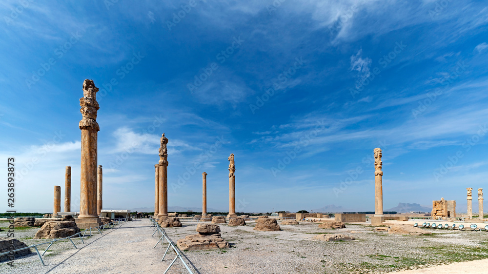 Apadana Palace Persian capitals still standing after 2500 years ...