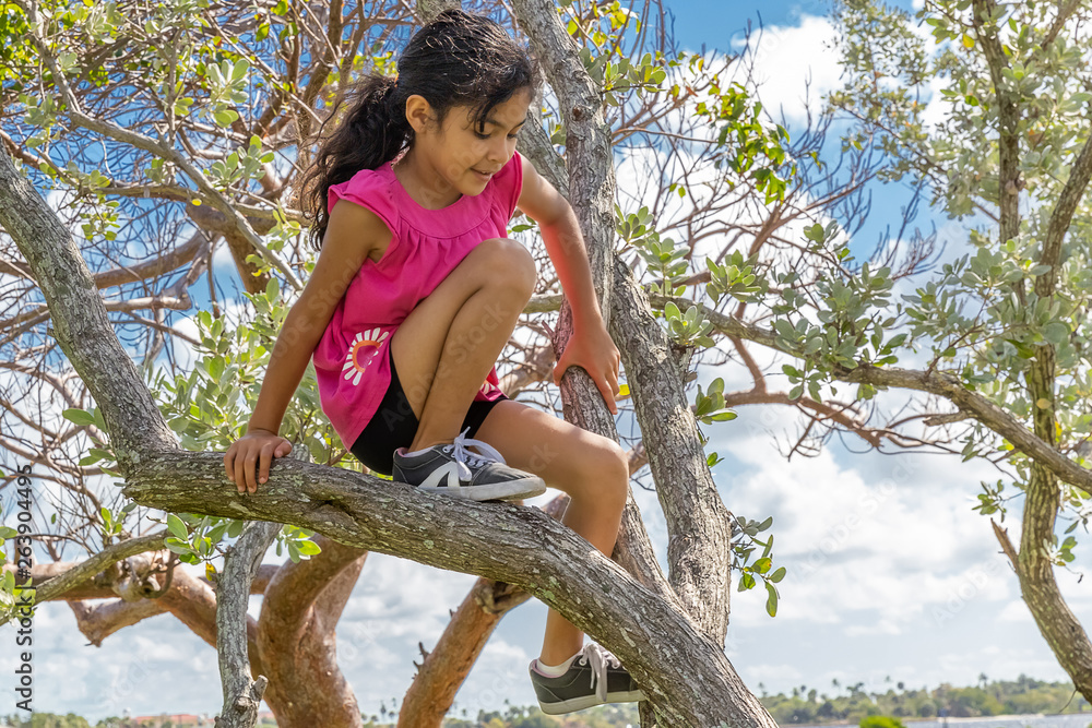 A young schoolgirl enjoys being high up in the trees. On a beautiful ...