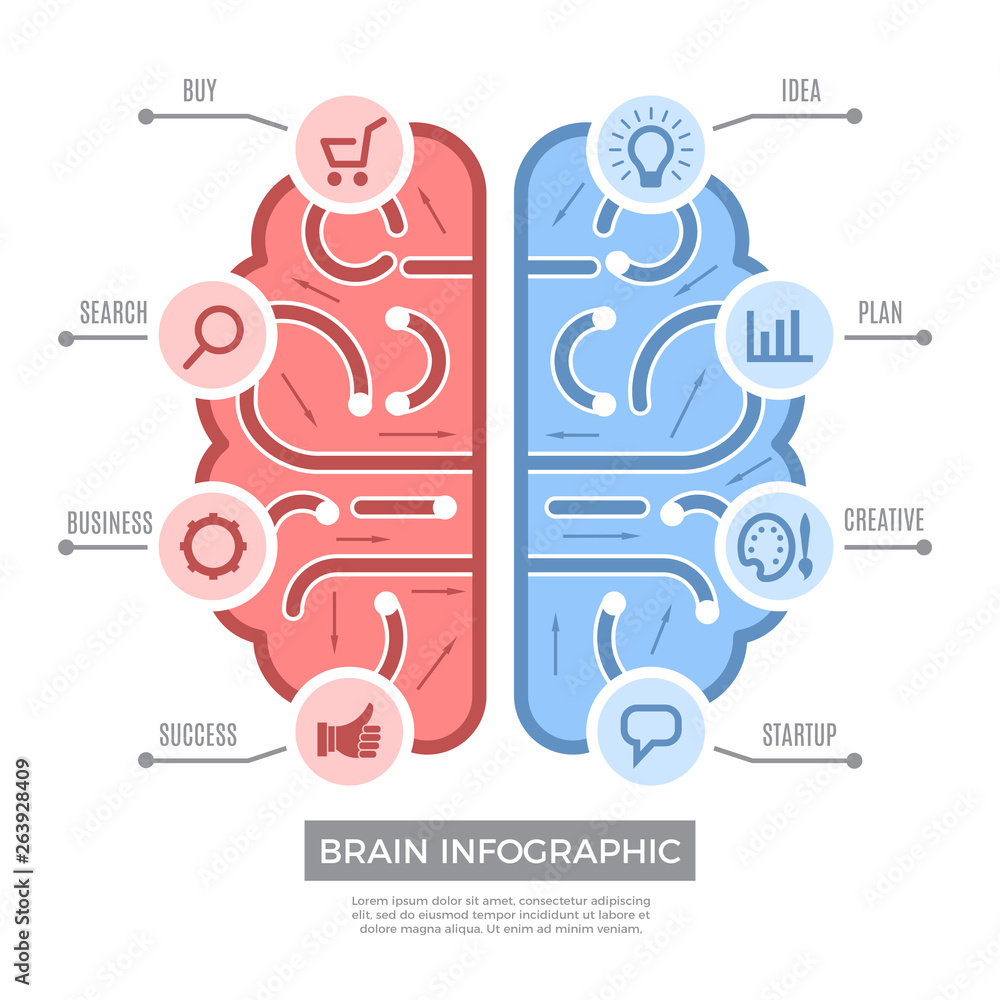 Brain infographic. Conceptual thinking learning symbols vector creative ...