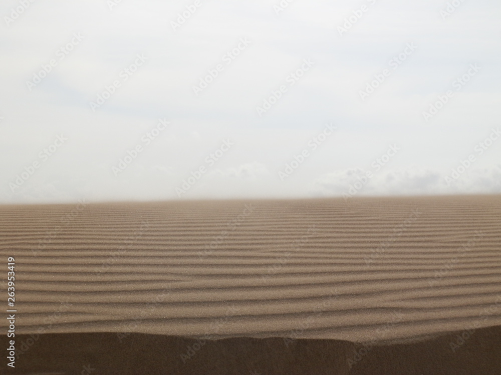 los medanos de coro Stock Photo | Adobe Stock