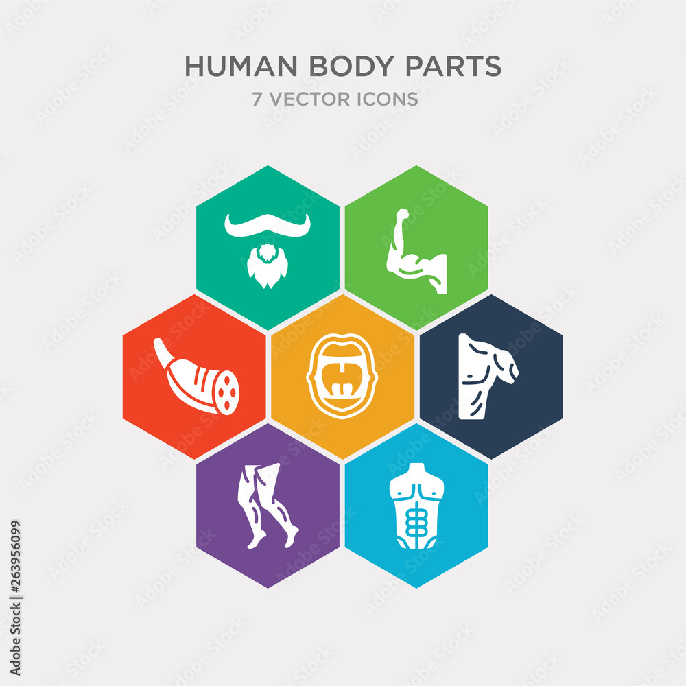 Vetor de simple set of men chest, men leg, men shoulder, mouth open ...