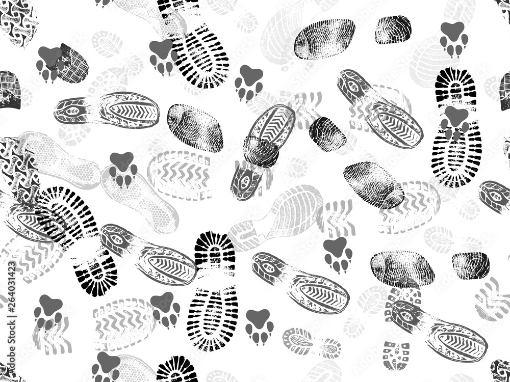 Seamless background of footprints and animal footprints. Vector ...