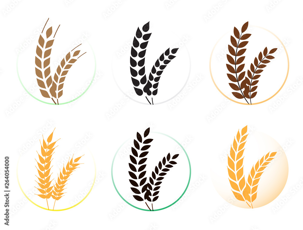 Wheat grains of different shapes set. A set of icons ready to use in ...