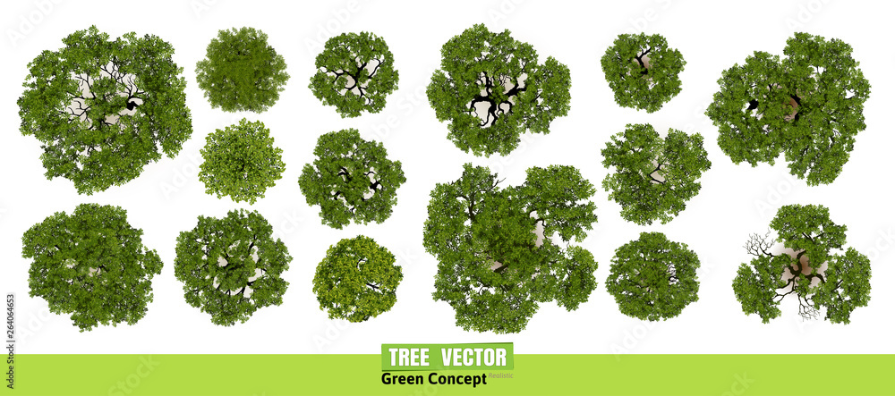 Trees top view for landscape vector illustration. Stock Vector | Adobe ...