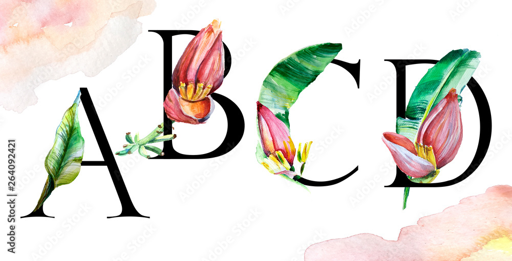 Alphabet with flowers. Hand drawing illustration with green leaves, red ...