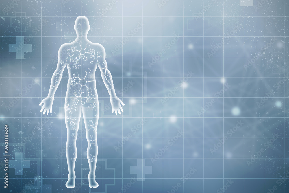 2d illustration Human Male Muscle Body Stock Illustration | Adobe Stock