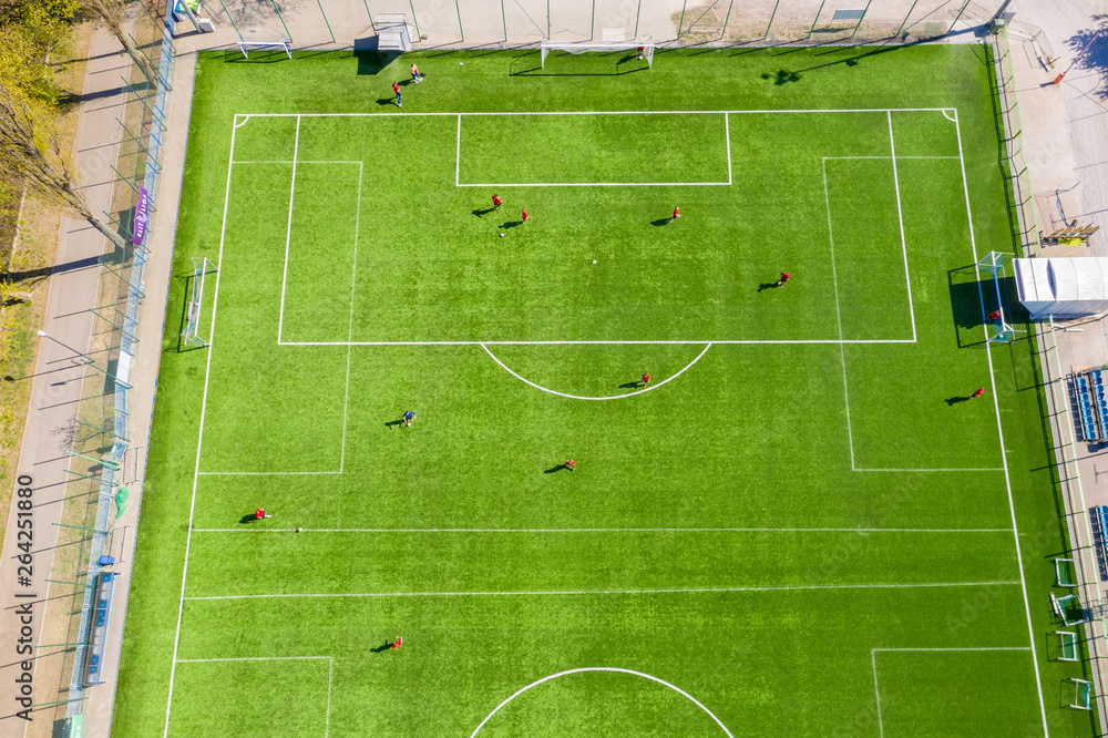 Team training soccer football session on the green pitch of a football ...