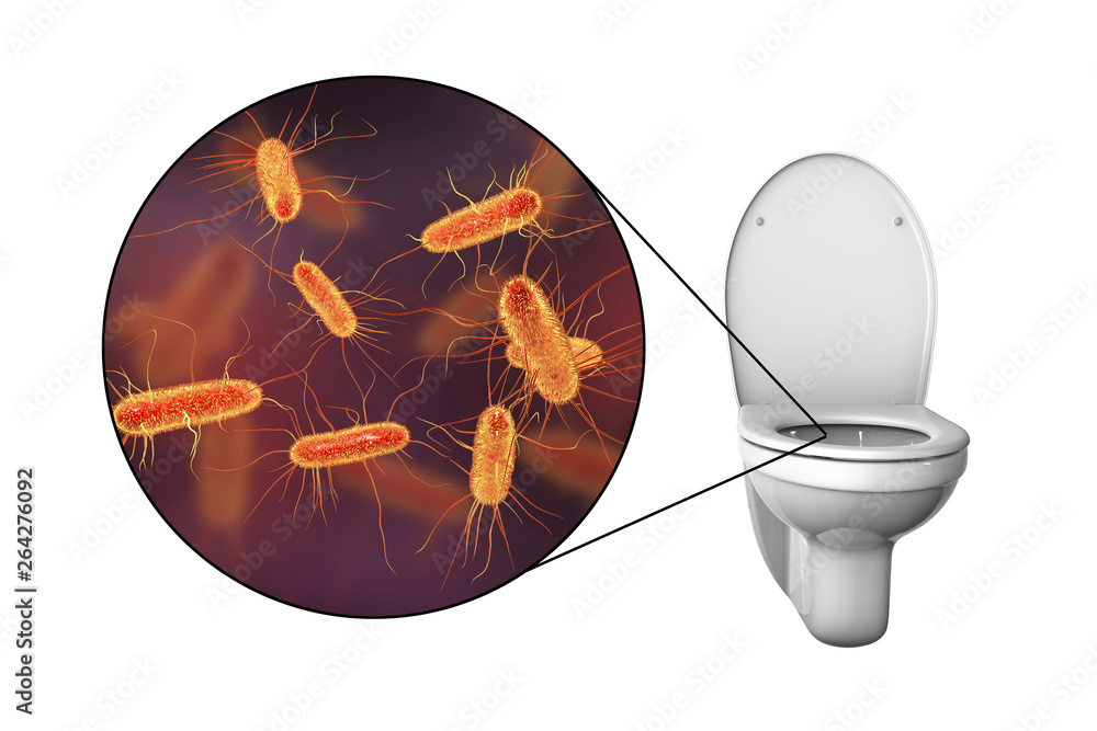 Toilet microbes, conceptual 3D illustration. Transmission of diarrheal ...