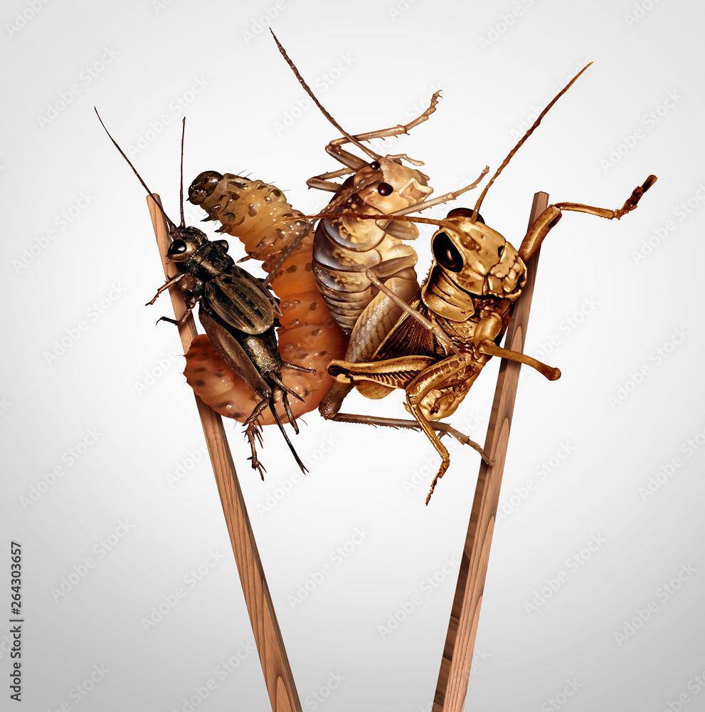 Edible Insects Stock Illustration | Adobe Stock