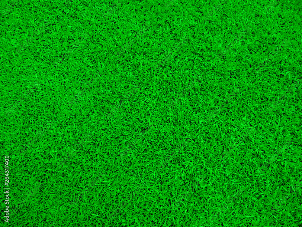 Natural grass texture pattern background. Green grass texture for ...