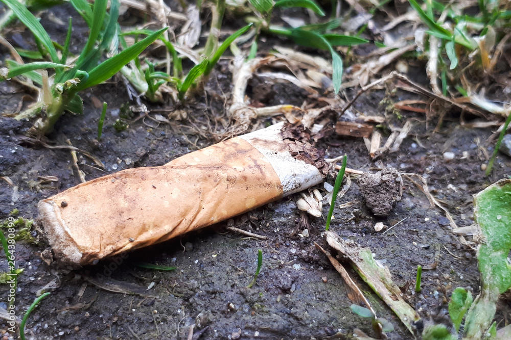 Discarded cigarette butt in the grass. The cigarette butt on the ground ...