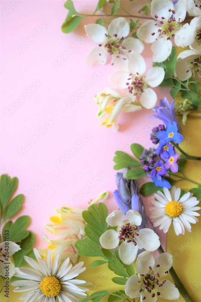 frame of floers on pink background Stock Photo | Adobe Stock