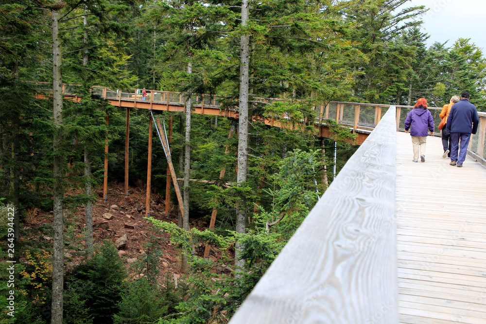 Tree top walk; Tree top walk Black Forest; Bad Wildbad Stock Photo ...