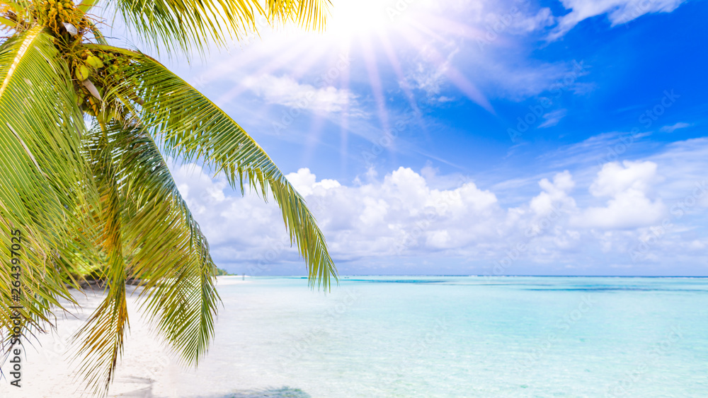 Tropical Scenery