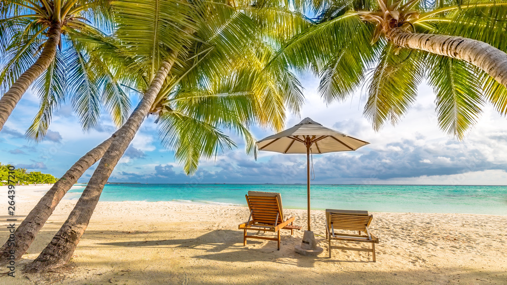 Wonderful beach scenery, palms and sun beds with sea view. Tropical ...