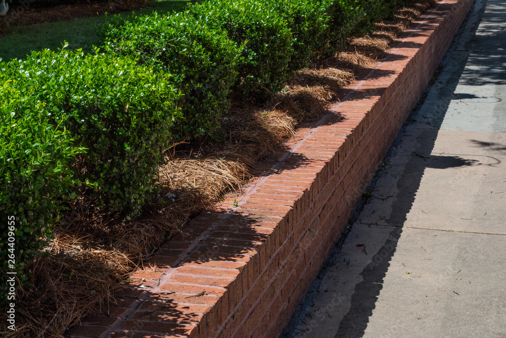 Tidy red brick retaining wall lined with boxwoods alongside a sidewalk ...