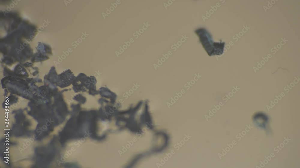 Microparticles of plastic in aquatic environment. Macro shooting of ...